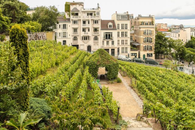 The Ultimate 5 Days In Paris Itinerary You Should Steal - Linda On The Run