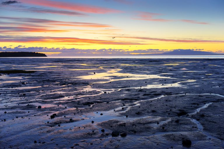 21 Best Things To Do In Anchorage - Linda On The Run