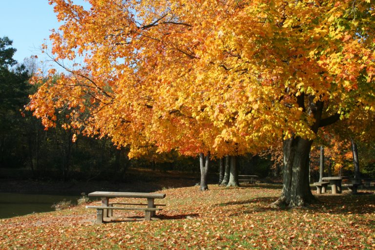 11 Best Places To See Fall Foliage In Ohio - Linda On The Run