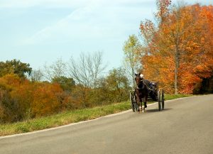 11 Best Places To See Fall Foliage In Ohio - Linda On The Run
