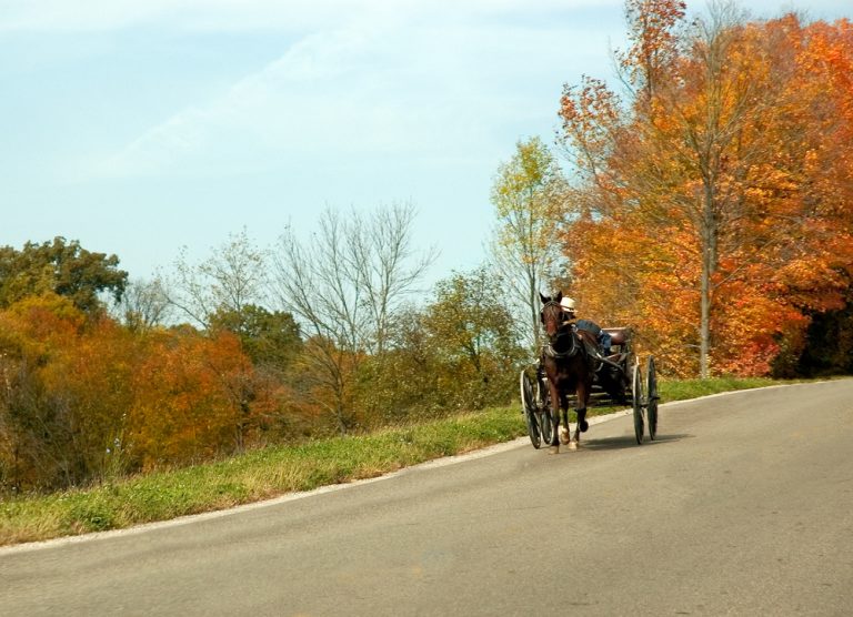 11 Best Places To See Fall Foliage In Ohio - Linda On The Run