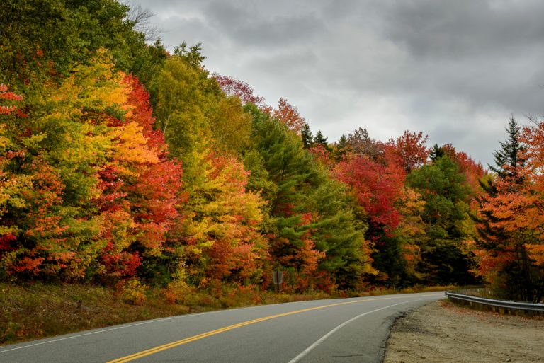 Fall Foliage Road Trips In The USA: 15 For Your Bucketlist - Linda On ...