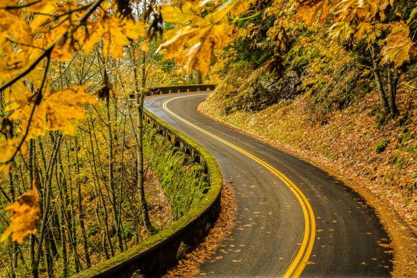 Fall Foliage Road Trips In The USA: 15 For Your Bucketlist - Linda On ...