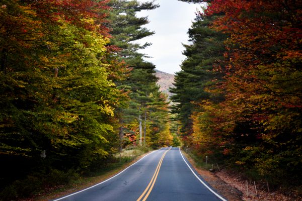Fall Foliage Road Trips In The USA: 15 For Your Bucketlist - Linda On ...