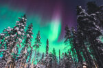 Alaska in Winter: What You Need To Know Before Your Trip - Linda On The Run