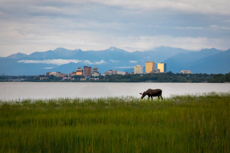 Things To Do in Anchorage: 21 Best Tips For Your Bucket List - Linda On ...